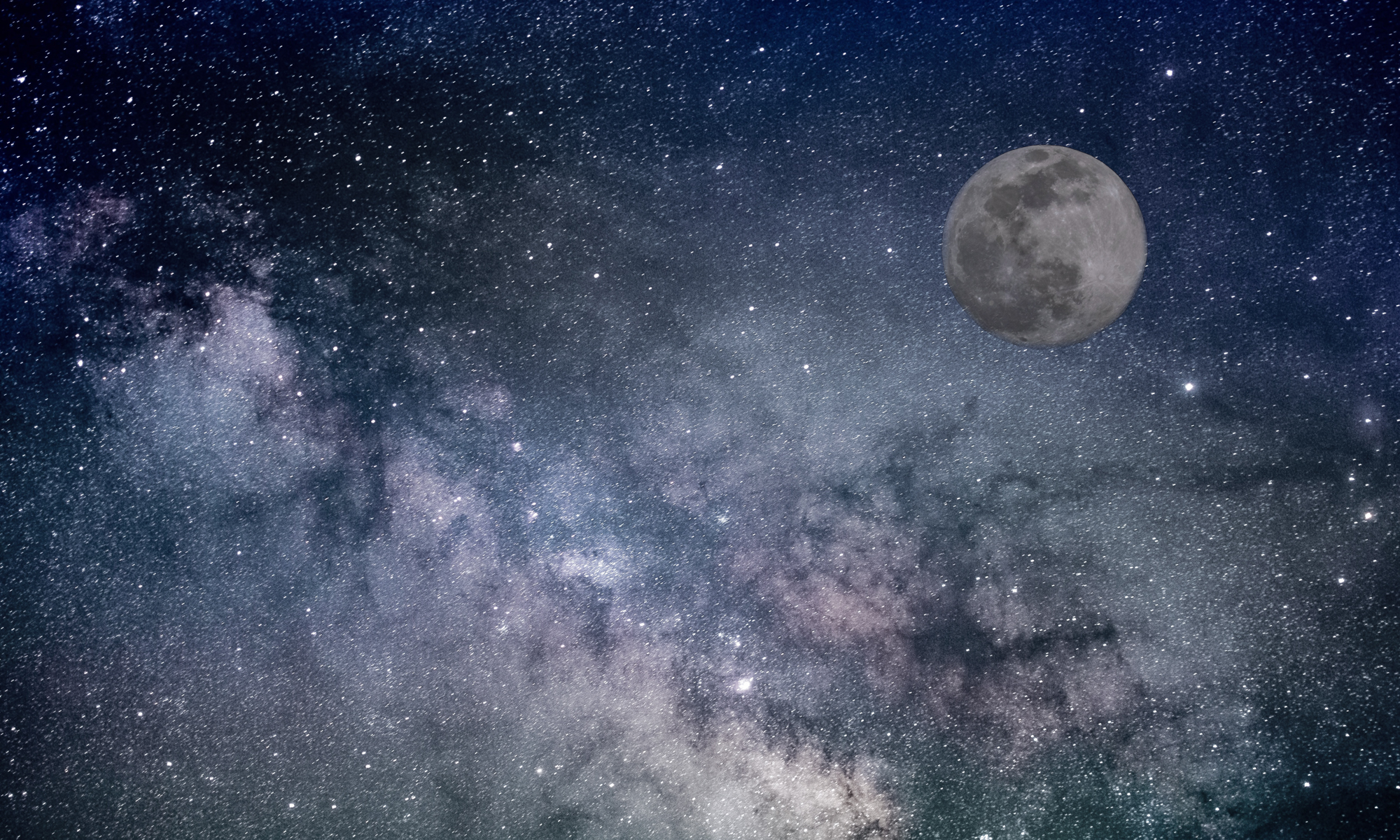 Selecting a Puppy – Celestial Doodles